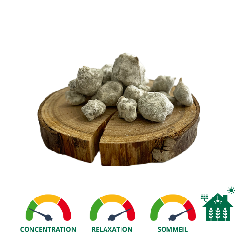 Acheter fleur de cbd Ice rock – O'GARDEN